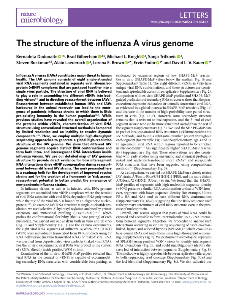 The Structure of The Influenza A Virus Genome | PDF | Influenza A Virus ...