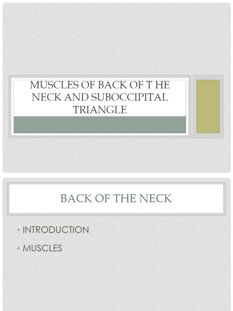 Muscles of Back of t He Neck And | PDF | Neck | Musculoskeletal System