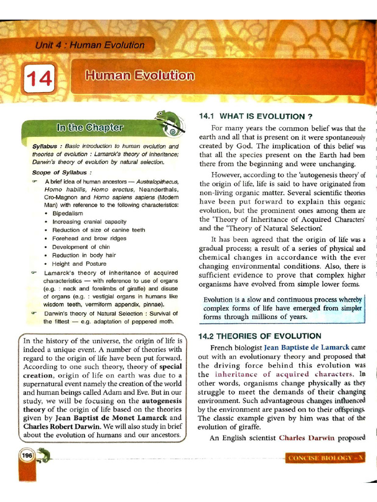 Biology Unit 4 - Human Evolution - FR - Compressed | PDF
