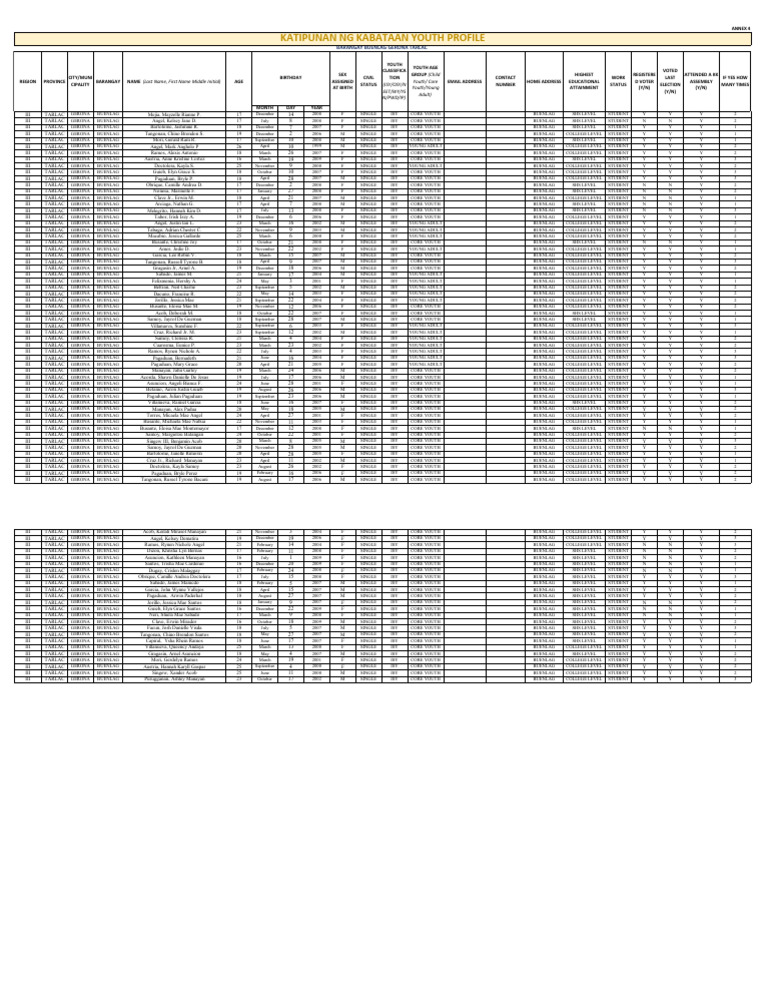 Annex 4 KK Profile Consolidated Form Final | PDF