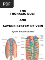 Understanding Batson's Plexus Anatomy | PDF | Vertebra | Vein