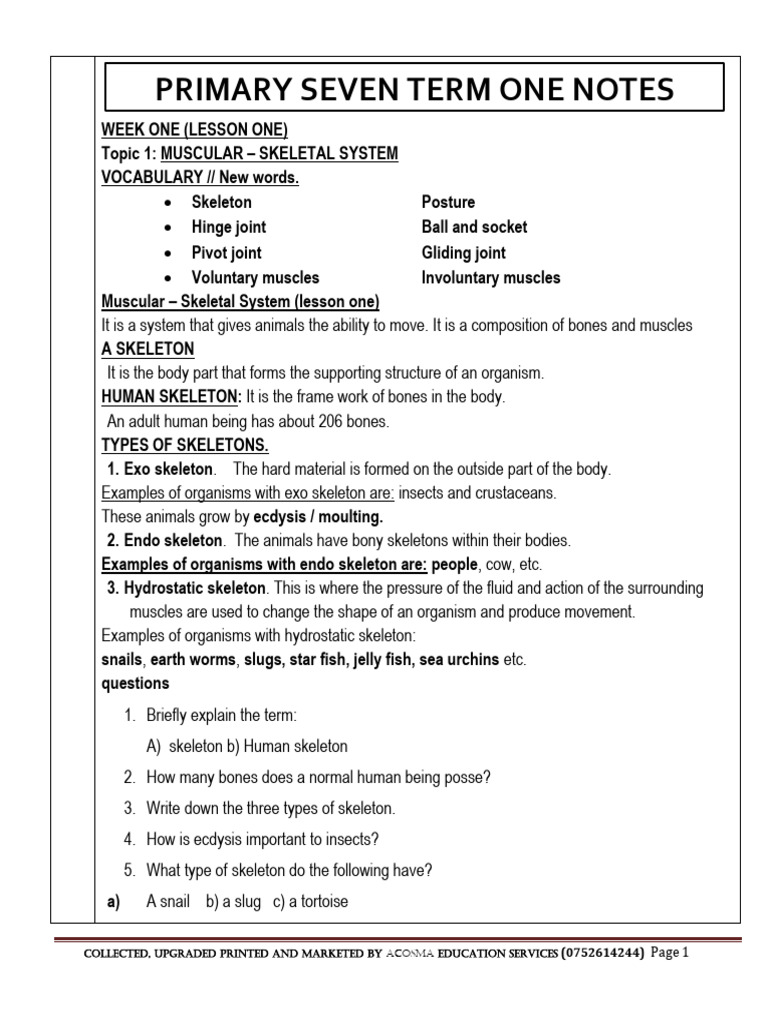 Primary Seven Science 2023 | PDF | Skin | Lever