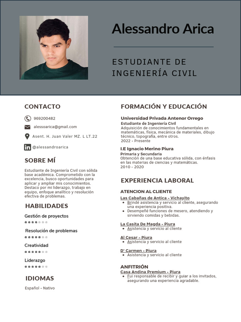 cv Arica Carrión Alessandro | PDF | Ingeniero civil