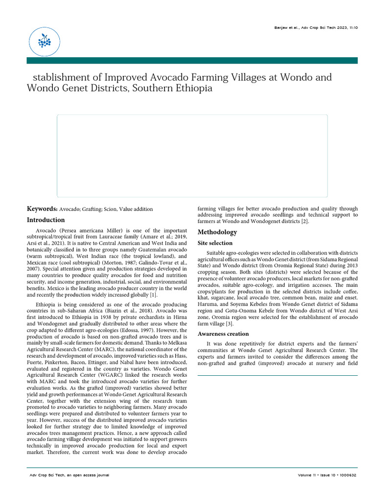 Establishment of Improved Avocado Farming Villages at Wondo Andwondo ...