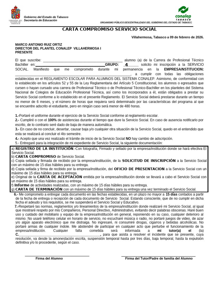 CARTA COMP Servicio Social | PDF