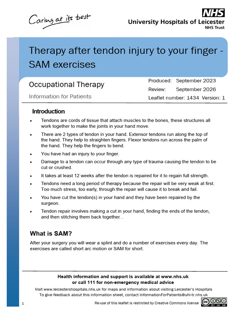 1434 - 092023 Therapy After Tendon Injury To Your Finger SAM Exercises ...