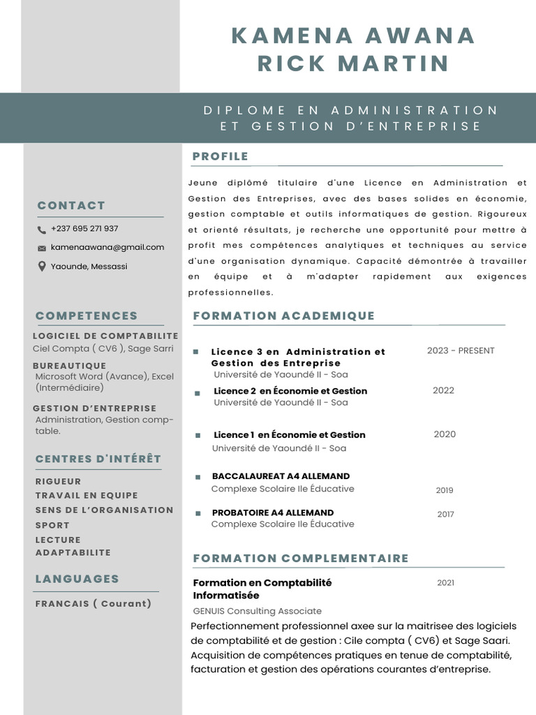 CV Rick Martin | PDF | Logiciel | Informatique