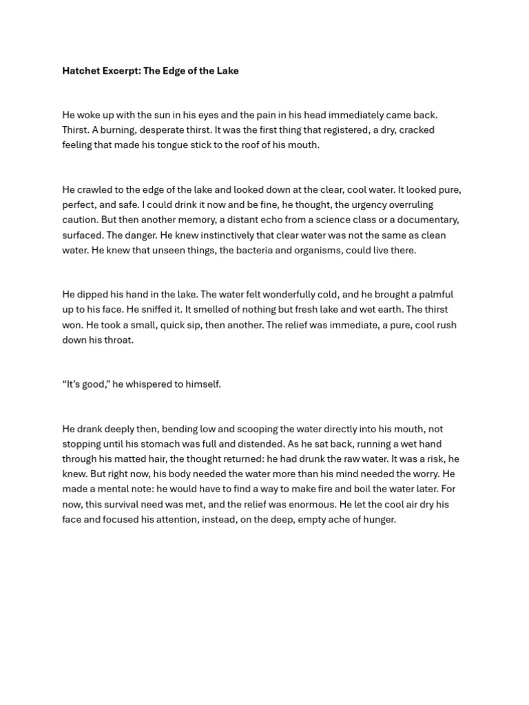 Hatchet Excerpt | PDF