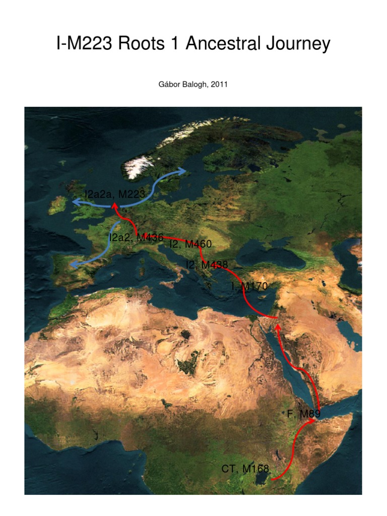 M223 Ancestral Journey Eng | PDF | Nature