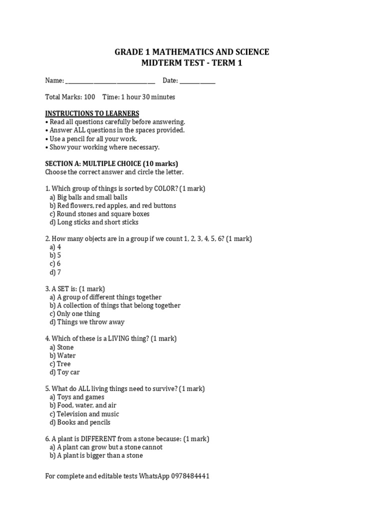 Grade 1 MATHEMATICS AND SCIENCE Midterm - Test - Term - 1 | PDF ...