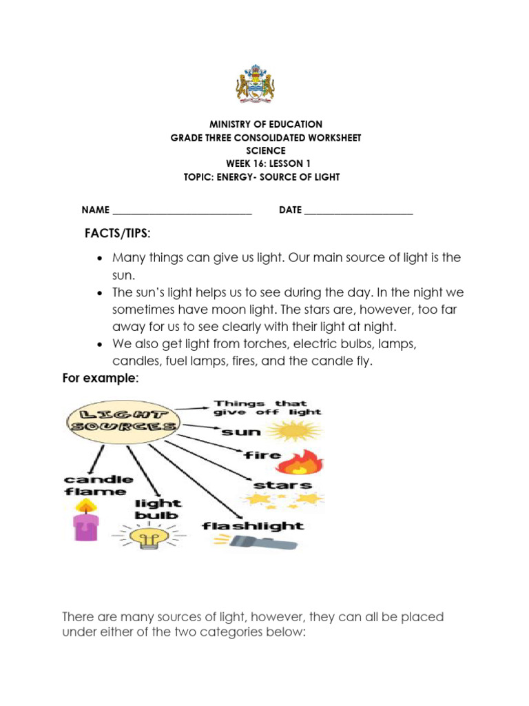 Grade 3 Science Week 16 Lesson 1 - 2022 - Consolidated Worksheet | PDF