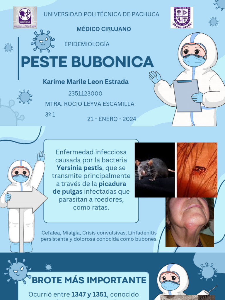 Peste Bubónica | PDF | Peste (enfermedad) | Muerte negra