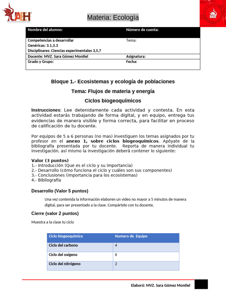 Actividad Ciclos Biogeoquimicos | PDF | Ecología | Maestros