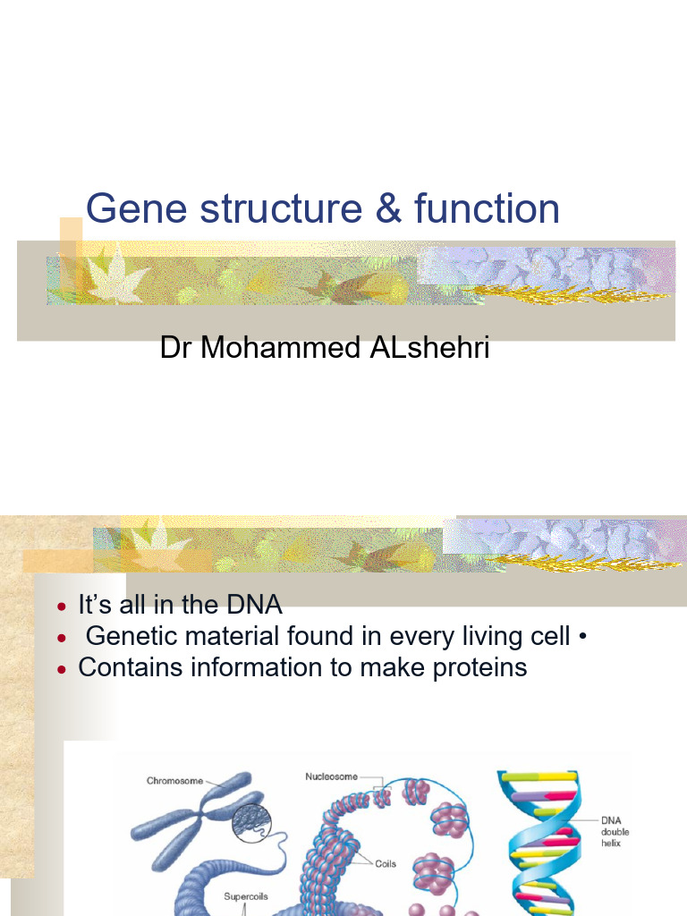 Gene Structure Function | PDF | Rna Splicing | Dna
