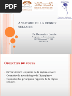 Imagerie de la Selle Turcique | PDF | Imagerie par résonance magnétique ...