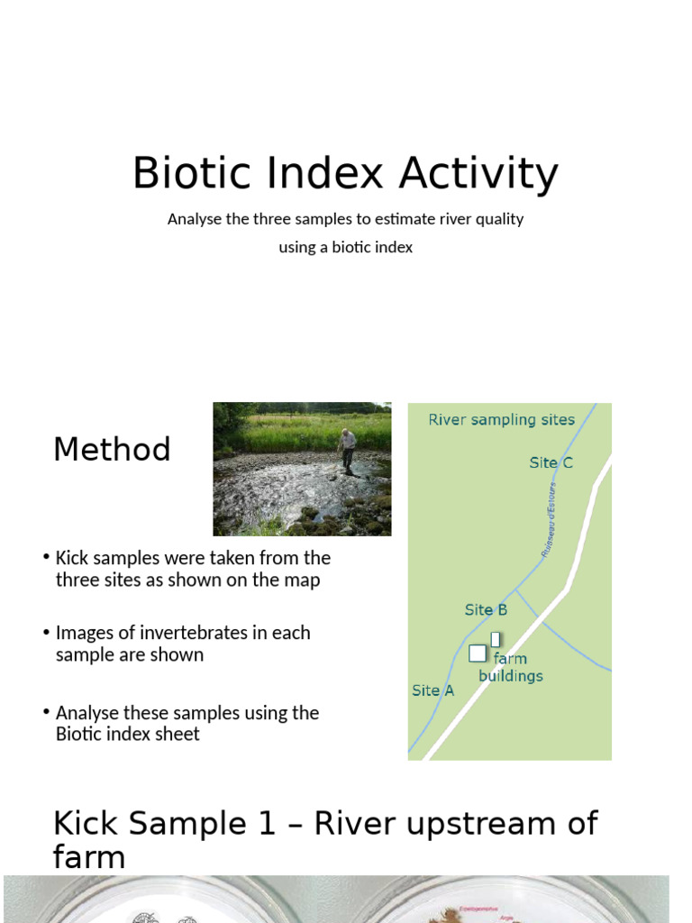 Biotic Index Activity Samples | PDF