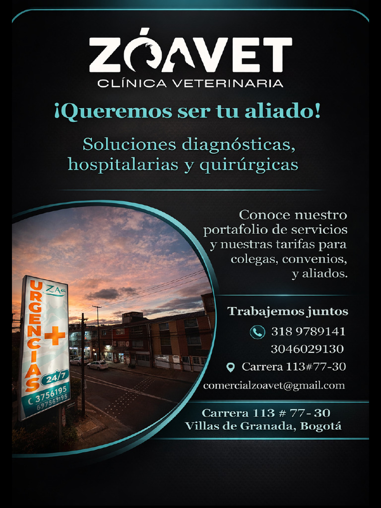 Portafolio de Servicios Completo | PDF