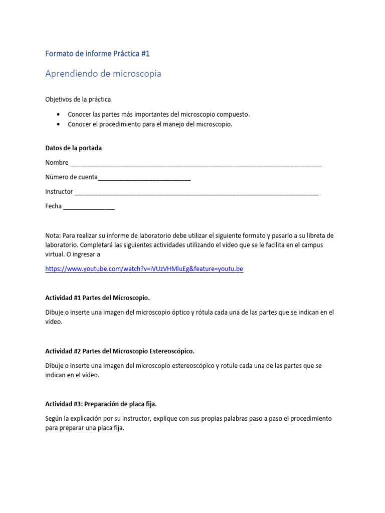 Formato para Informe#1 | PDF