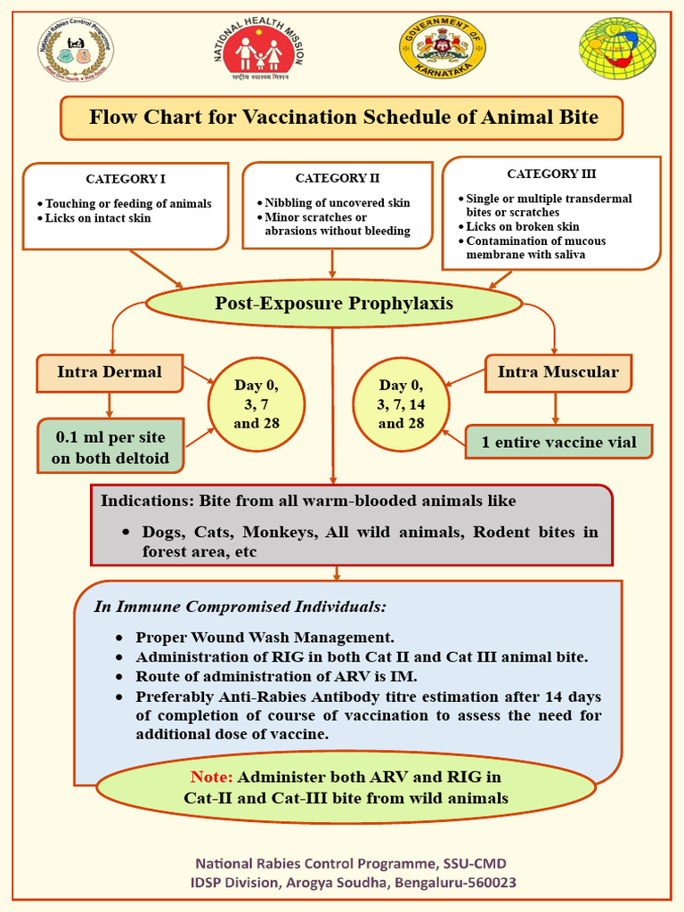 Dogbite Flowchart 20-11-2025 | PDF | Rabies | Medical Specialties