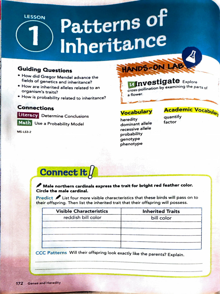 Heredity g8 Eyad 2026 | PDF
