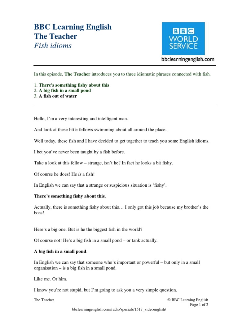 Teacher 070713 Fish Transcript | PDF | Art