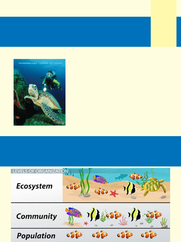 Biotic Potential Environmental Resistance | PDF | Reproduction | Ecosystem