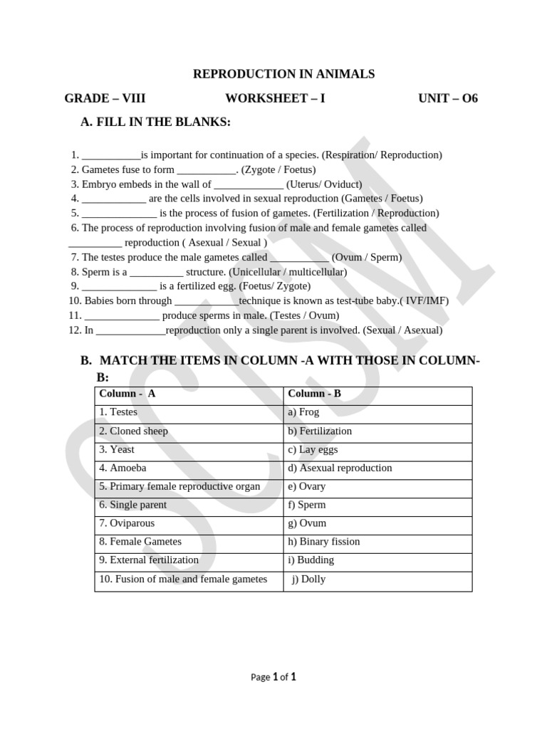 Worksheet - I (Reproduction in Animals) | PDF