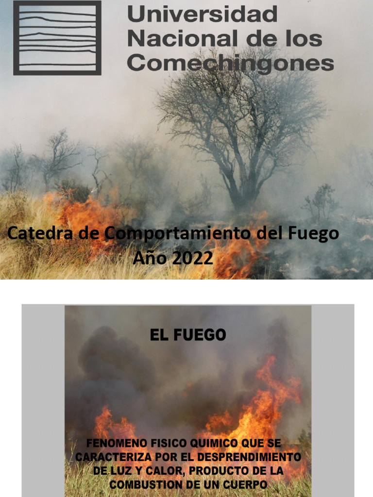 2 El Fuego | PDF | Convección | Calor