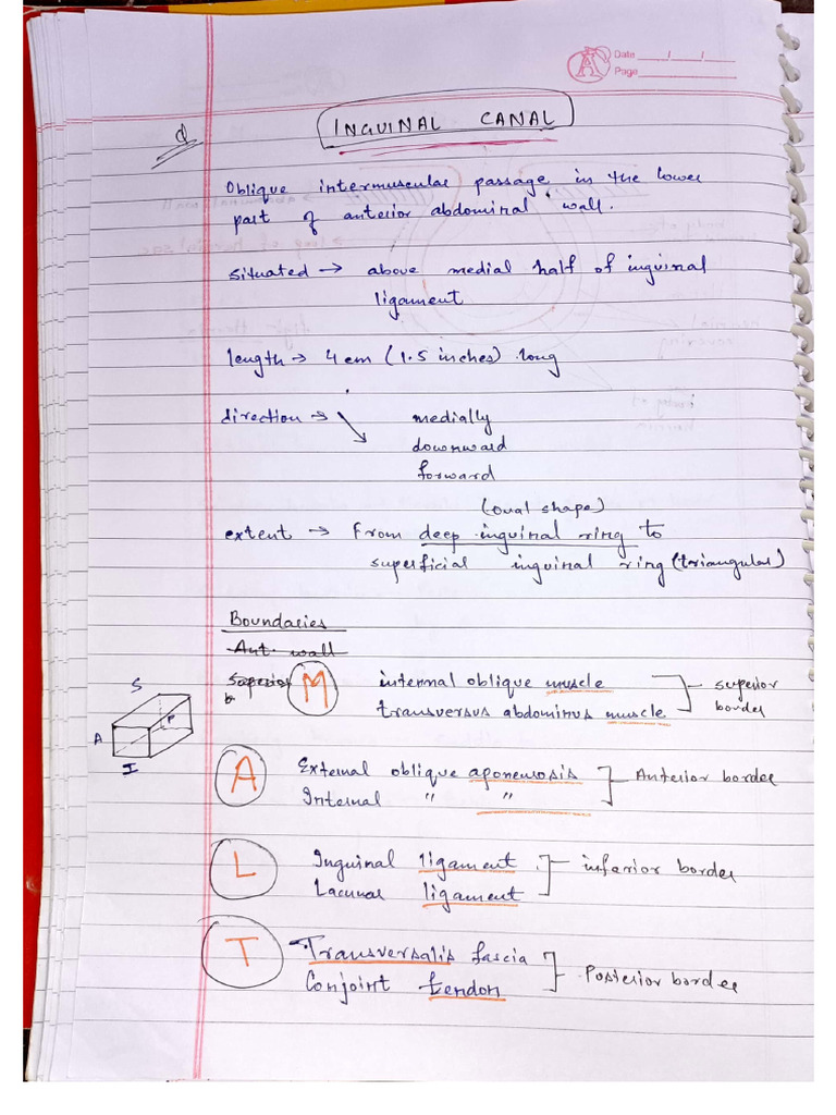 INGUINAL HERNIA (Surgery Handwritten Notes PDF | PDF