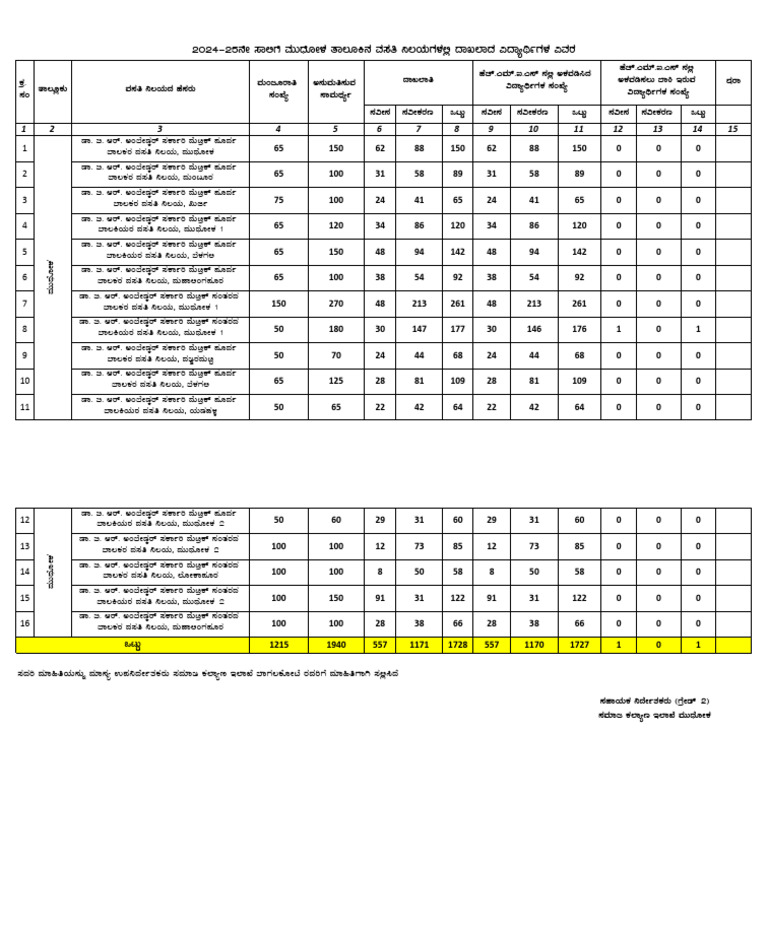 HMIS Format 30.10.2024 | PDF
