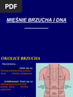 Anatomia Swini Atlas Interaktywny | PDF