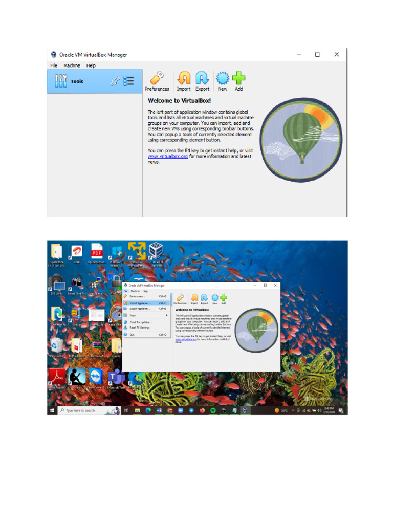 VM Install | PDF