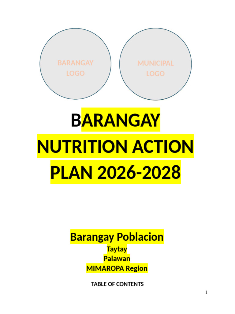 Revised BNAP 2026-2028 Template | PDF