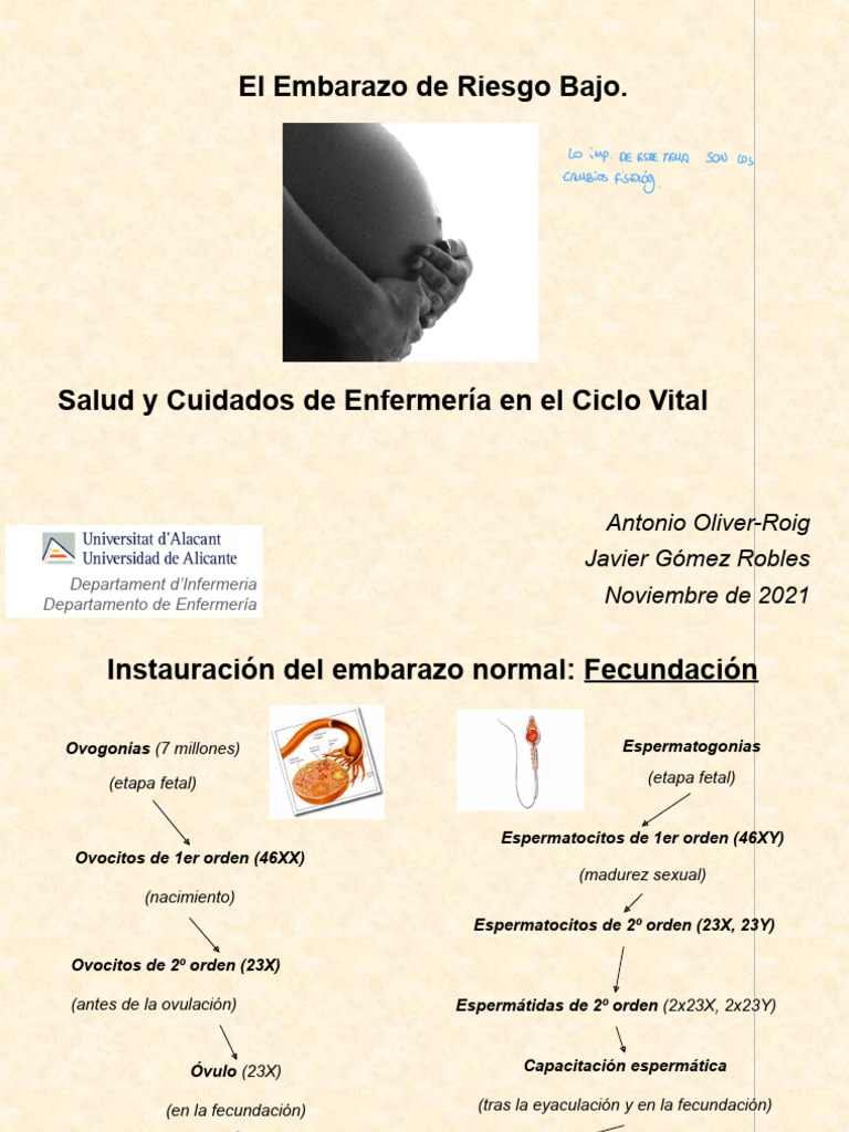 Presentación Clase Teórica Cuidados en El Embarazo Normal | PDF ...
