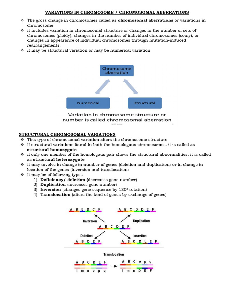 Structural Variation in Chromosomes | PDF | Genetic Linkage | Meiosis