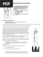 Maniobras de Bostezo en la Rodilla | PDF | Rodilla | Anatomía del ...