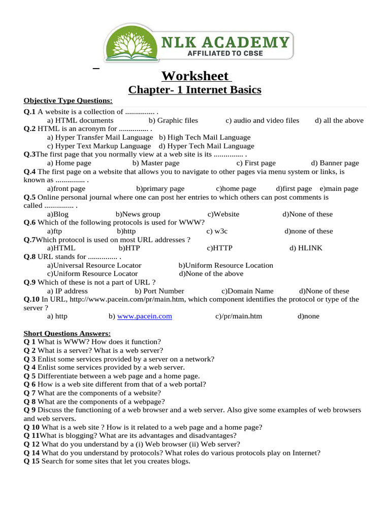 Chapter Wise Worksheet X CA | PDF | World Wide Web | Internet & Web