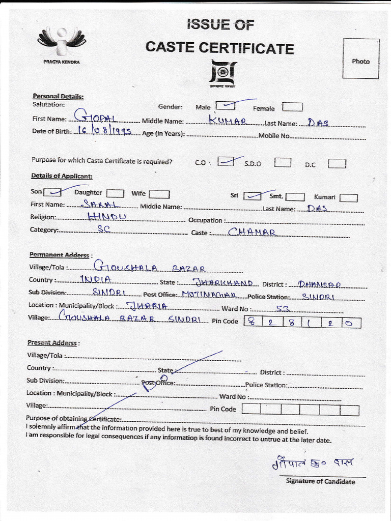 Caste Form - 20260213 - 0001 | PDF