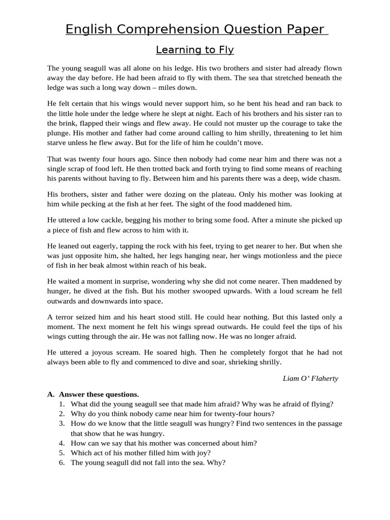 Comprehension2 Learning To Fly | PDF