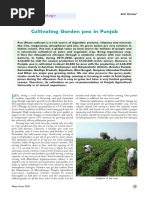 Maize Spray Program Overview | PDF | Maize | Weed