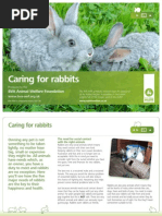 Games and Activities For Use in Steiner-Waldorf Schools | PDF | Leisure ...