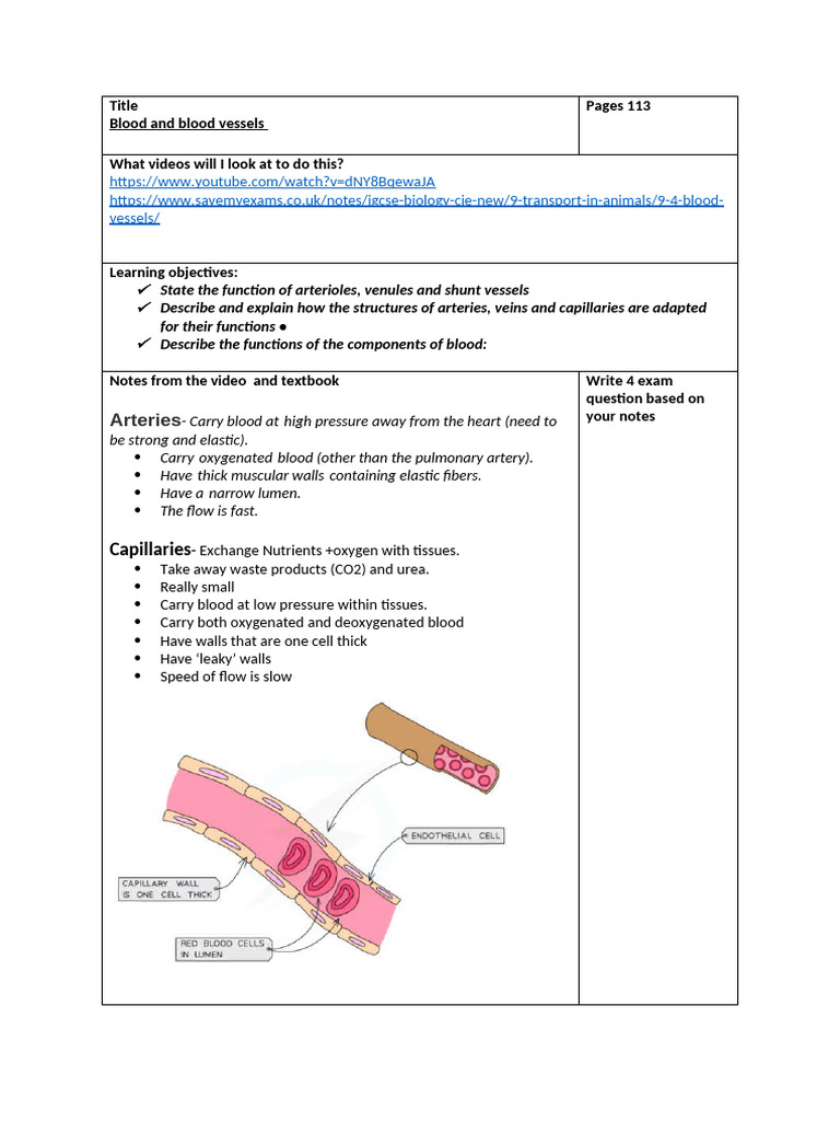 Flipped Learning Blood and Vessels.0 | PDF | Blood | Blood Vessel