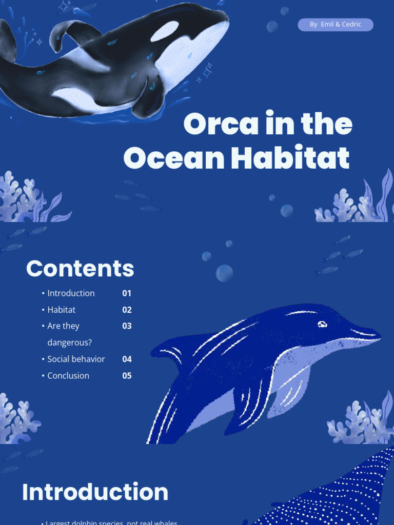 Ocean Habitat | PDF