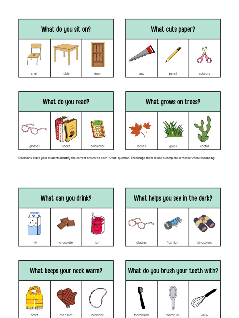 What Questions Flashcards for Speech Therapy in a Colorful Illustrated ...