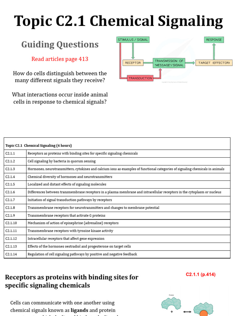 Topic C2.1 Chemical Signaling | PDF | Cell Signaling | Luteinizing Hormone