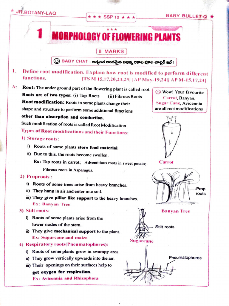 Botany 8 Marks | PDF