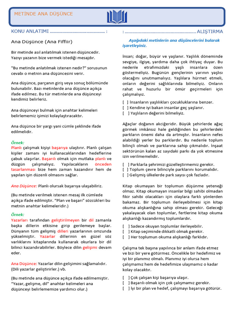 Sınıf - Metinde Ana Düşünce (Tam Öğrenme) | PDF