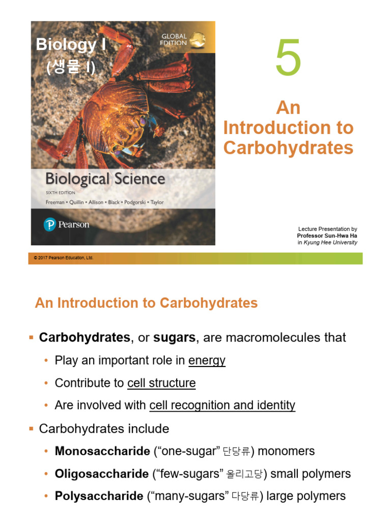 Biology I Chap 05 Carbohydrates | PDF | Polysaccharide | Hydrolysis