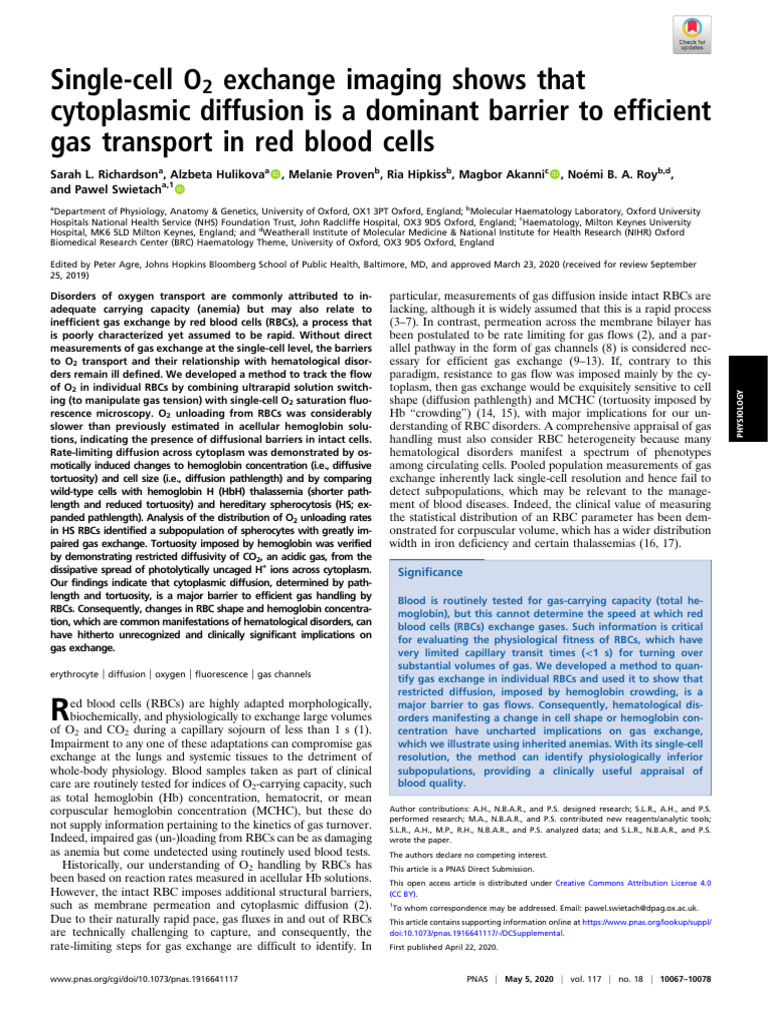 Estudio Forma y Tamañao Eritrocitario | PDF | Red Blood Cell | Biology