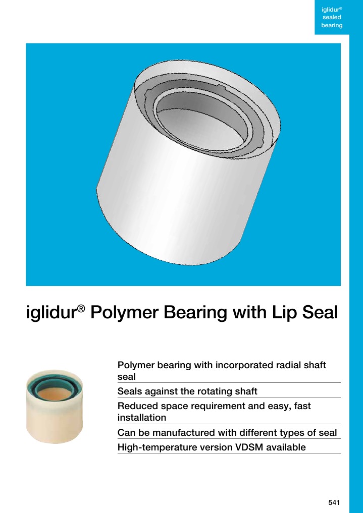 Polymer Bearing With Lip Seal | PDF